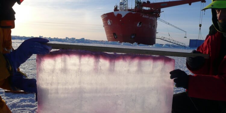 Applied theory offers new insights into sea ice thermal conductivity ... Applied theory offers new insights into sea ice thermal conductivity ...