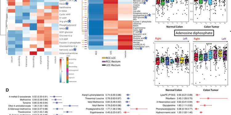 Metabolic map of colorectal cancer challenges conventional disease classifications – Manhattan ...